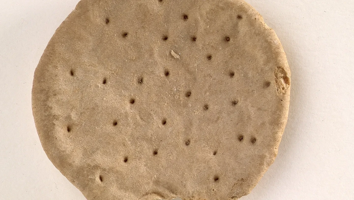 The ship's biscuit | Royal Museums Greenwich