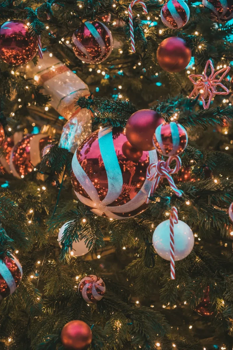 Santa's Grotto at the Queen's House terms and conditions | Royal ...