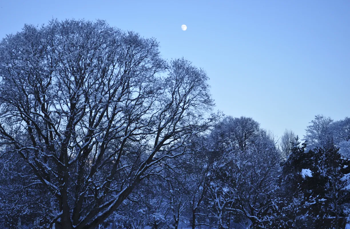 What are the names of full moons throughout the year? | Royal Museums ...